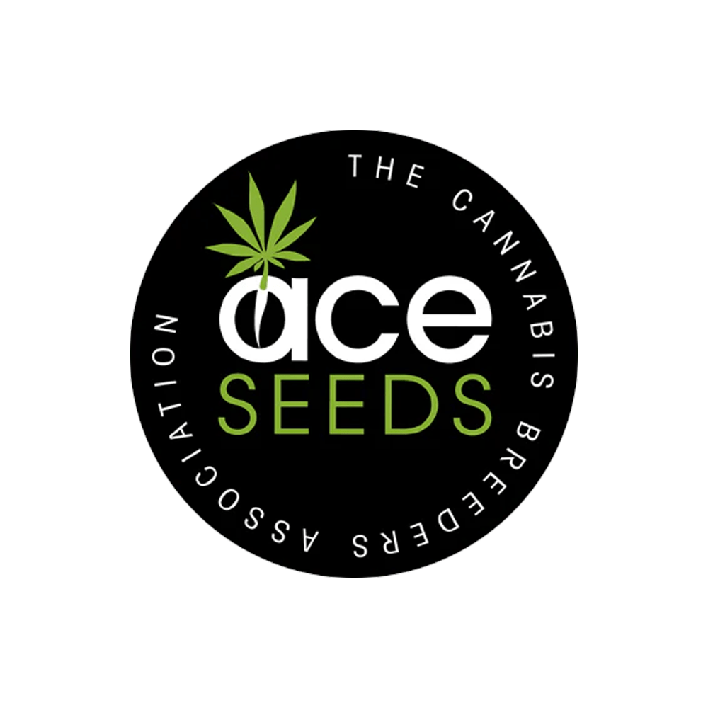 Ace Seeds – Seeds Of Love